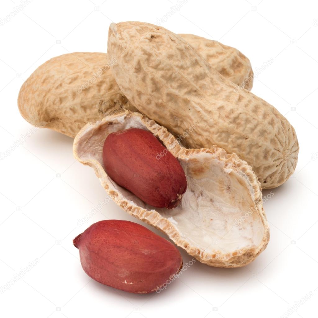 Groundnut pods and nuts Stock Photo by ©natika 108744006