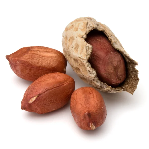 Opened peanut or groundnut pod isolated on white background clos Stock ...