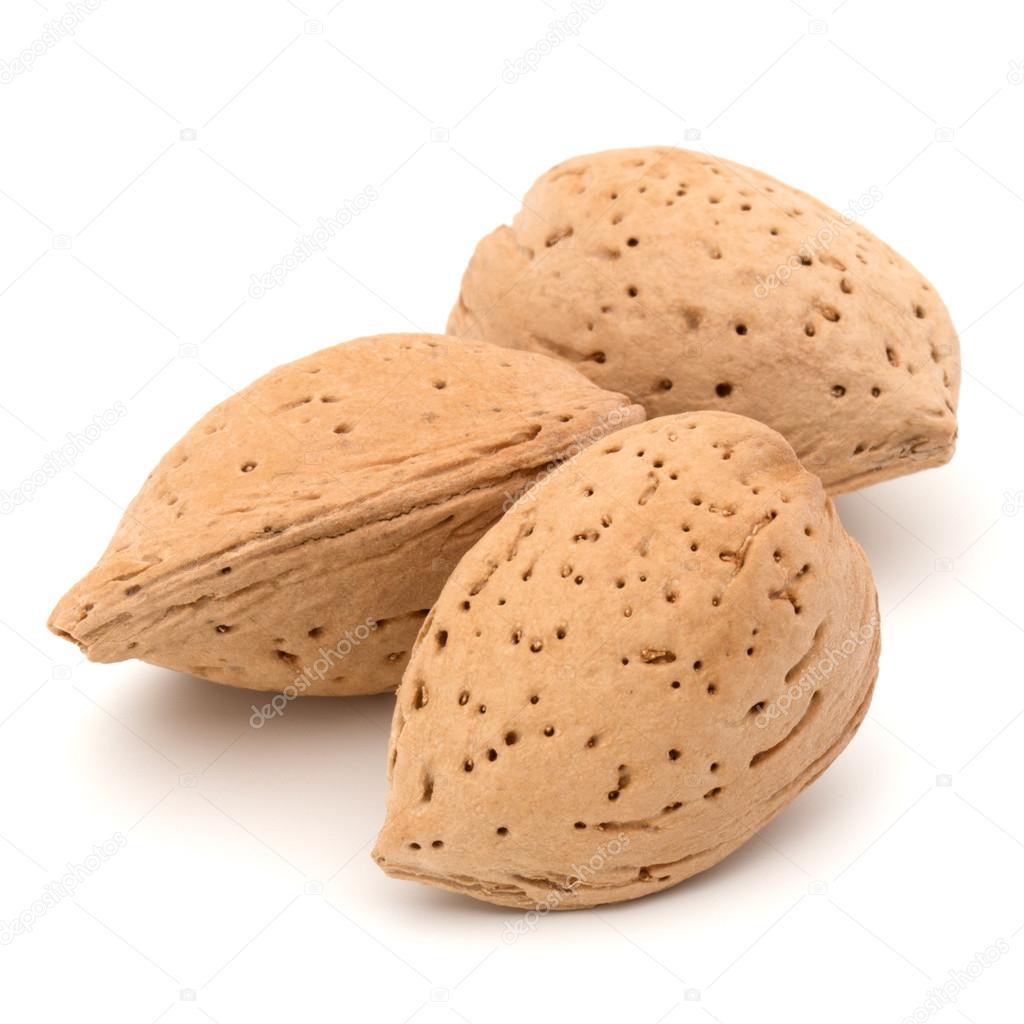 Almond Nut Shell