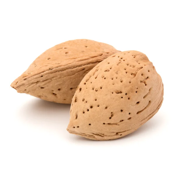 Almond Nut Shell Shelled Isolated White Background Close Stock Photo by ...