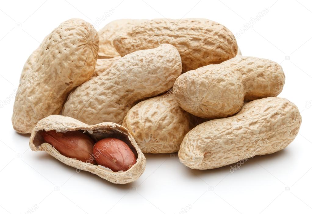 Peanut pods on white Stock Photo by ©natika 122793248