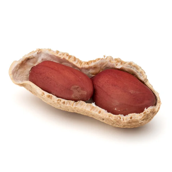 Opened peanut or groundnut pod isolated on white background clos Stock ...