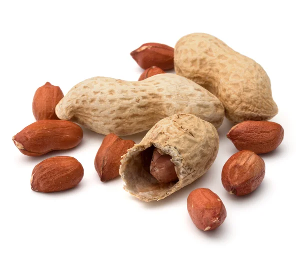 Groundnut pods Stock Photos, Royalty Free Groundnut pods Images ...