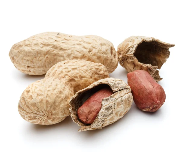 Peanut pod or arachis Stock Photo by ©natika 163978216