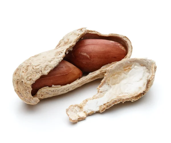 Opened peanut or groundnut pod isolated on white background clos Stock ...