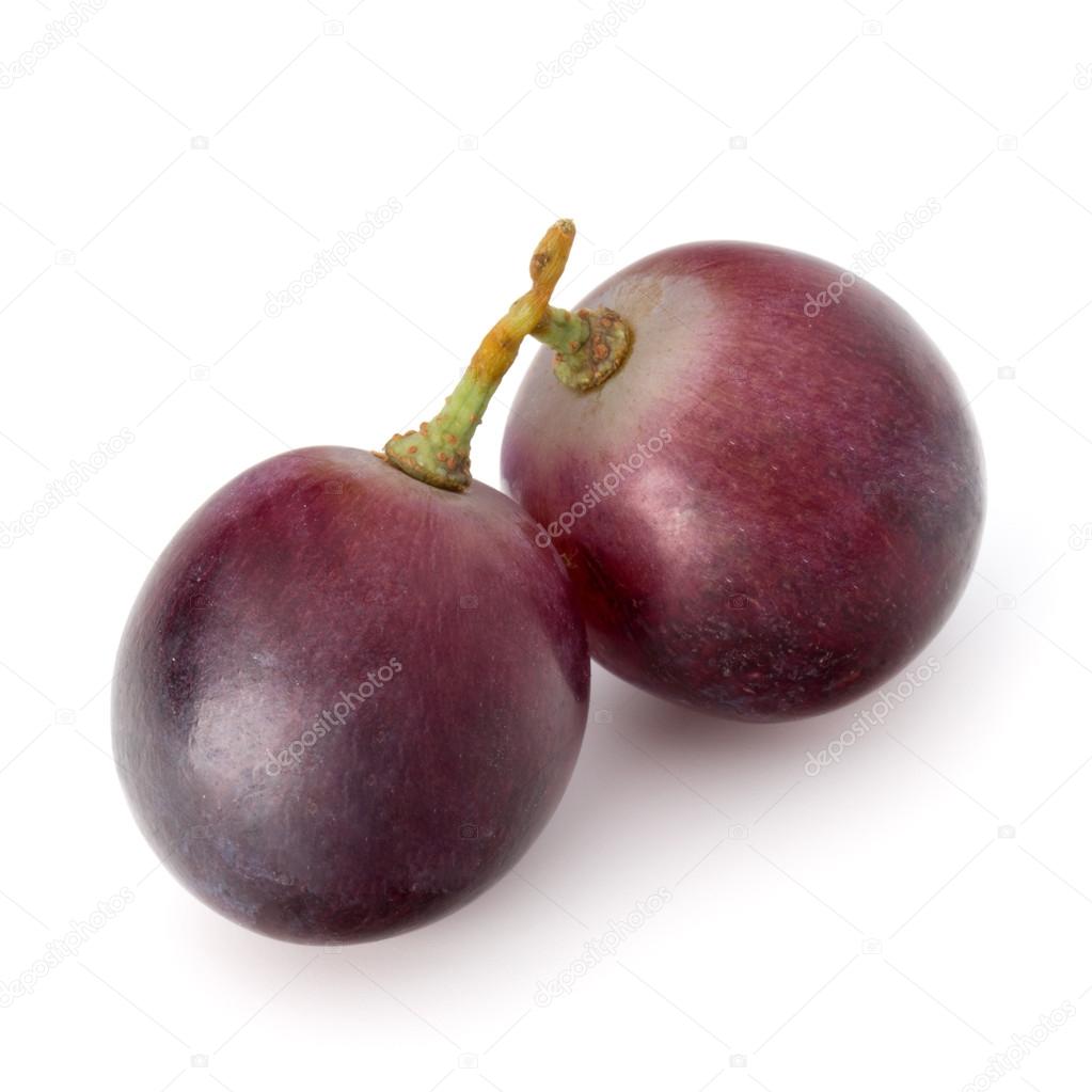 Single Purple Grape