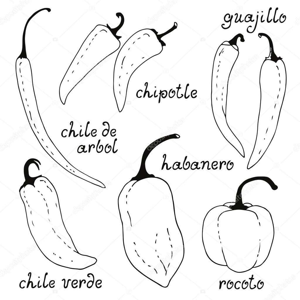 Colección de dibujos de chiles, set de garabatos vectoriales 2023