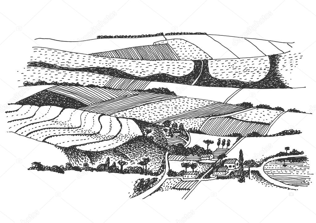 Vineyard landscape ink picture Stock Vector by ©iralu1 88311358