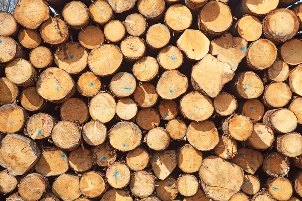 Studs Stock Photos, Royalty Free Studs Images | Depositphotos