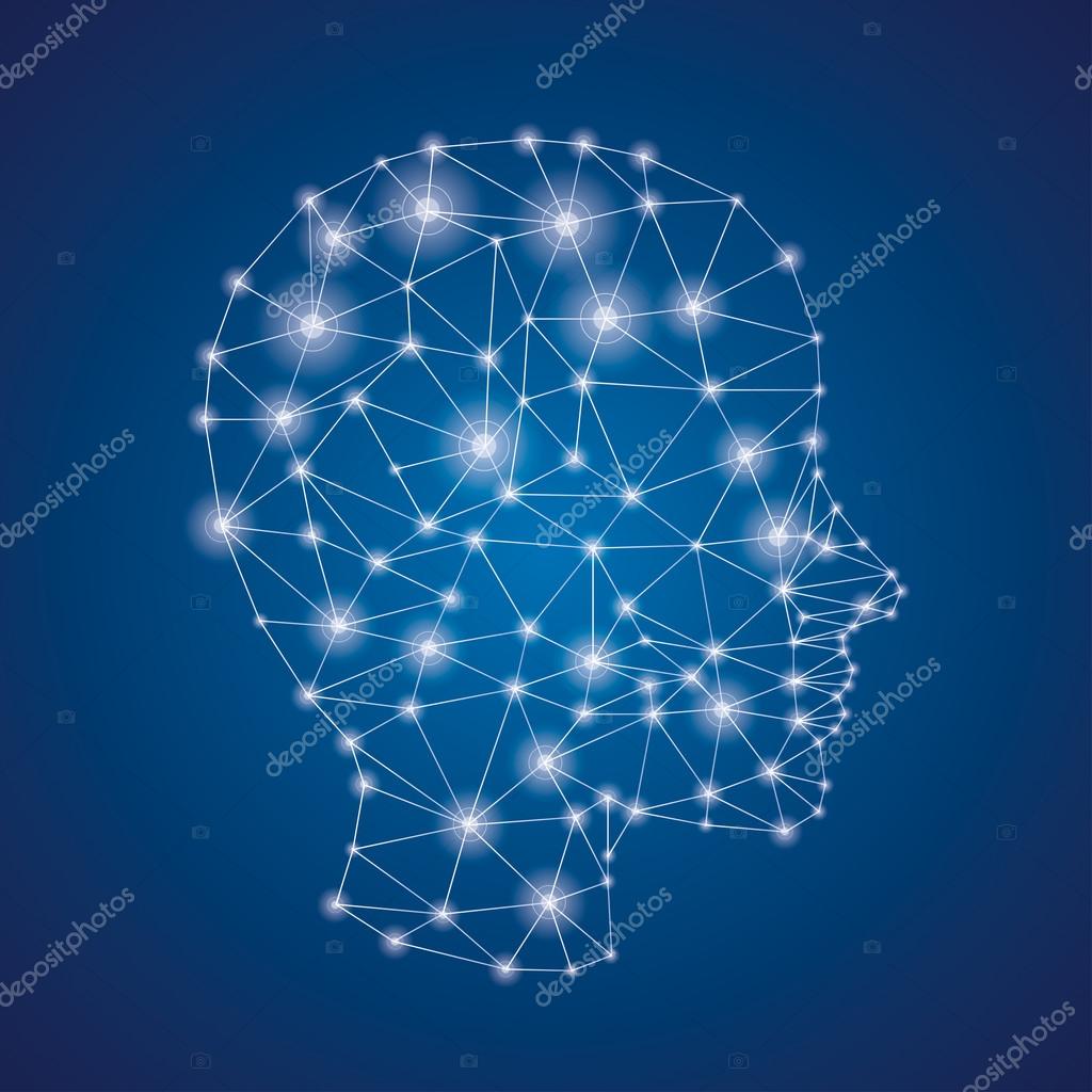 Low Poly Human Head Stock Vector Image by ©limbi007 #101180462