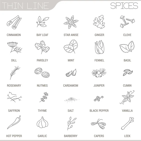 Herbs and spices icons Stock Vector Image by ©mustahtar #121686644