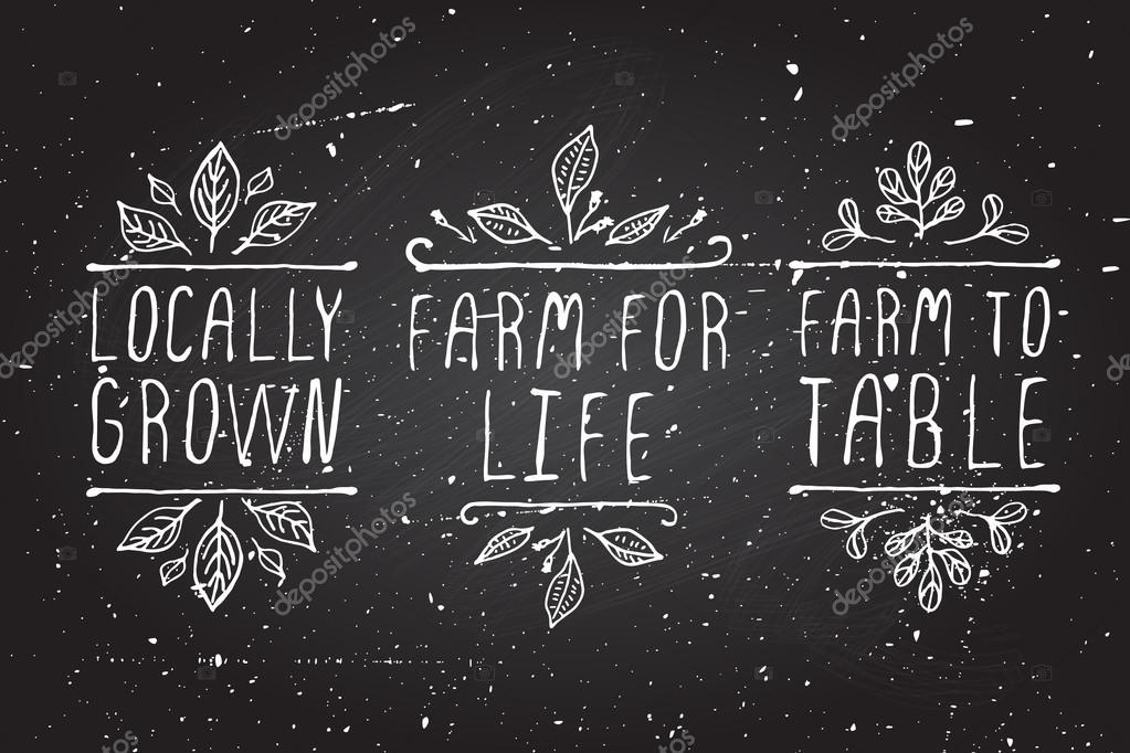 Farm product labels. Stock Vector Image by ©Lillllia #82823572