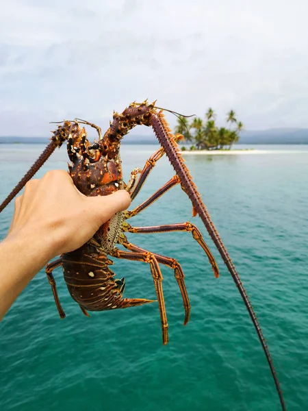 Lobster In Ocean