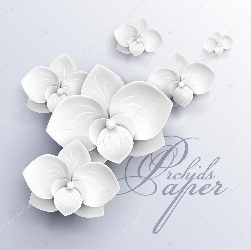 Paper flowers background - white orchids vector illustration — Stock ...