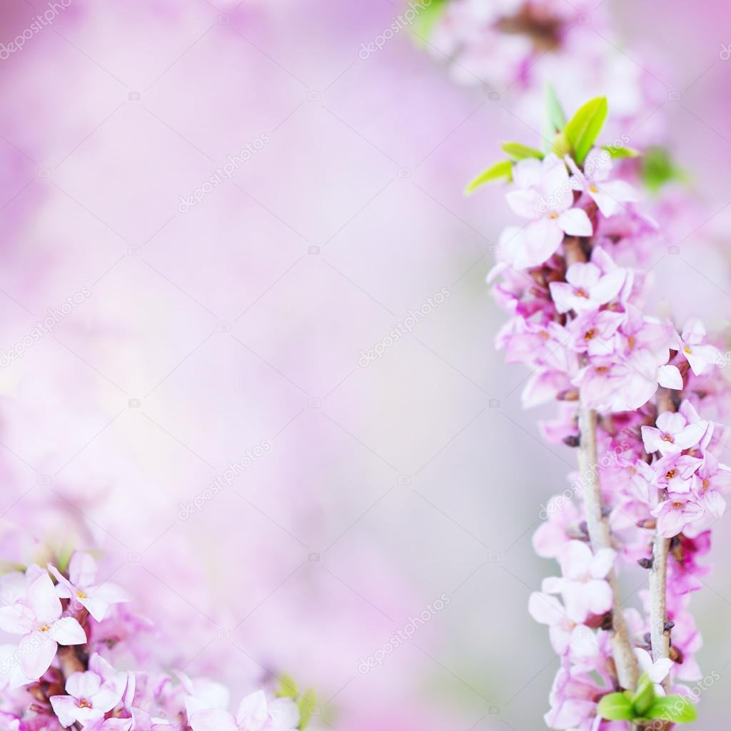 Blurred Flower Background