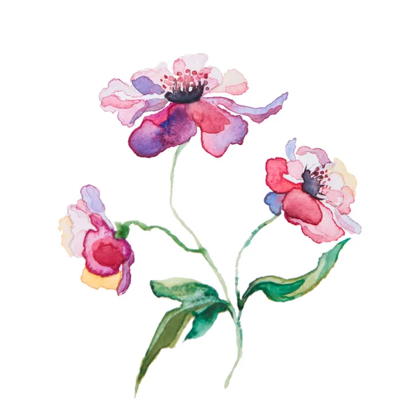 Spring flowers watercolors | The spring flowers watercolor isolated ...