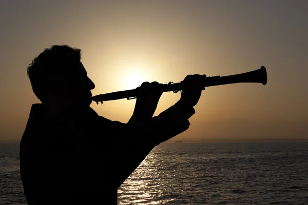 Oboe Stock Photos, Royalty Free Oboe Images | Depositphotos