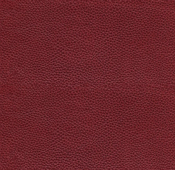 Pigskin Stock Photos, Royalty Free Pigskin Images | Depositphotos