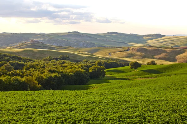 Beautiful green countryside – Stock Editorial Photo © zoomteam #61534497