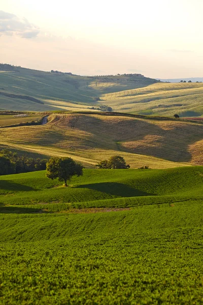 Beautiful green countryside – Stock Editorial Photo © zoomteam #61534497