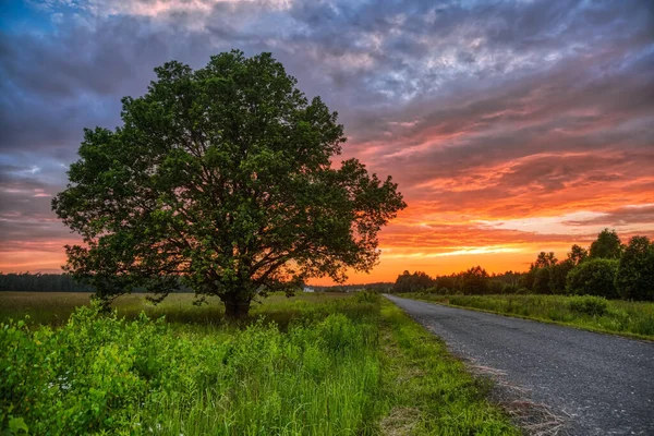 Country road sunset Stock Photos, Royalty Free Country road sunset ...