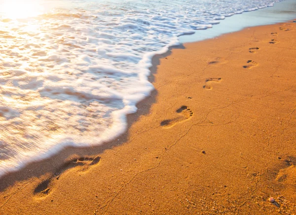 beach, wave and footsteps at sunset time — Stock Photo © hydromet #14829031