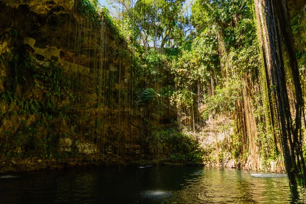 Yucatan Stock Photos, Royalty Free Yucatan Images | Depositphotos