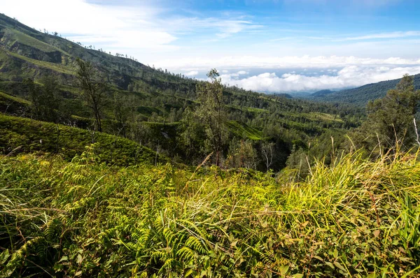 Indonesian mountains Stock Photos, Royalty Free Indonesian mountains ...