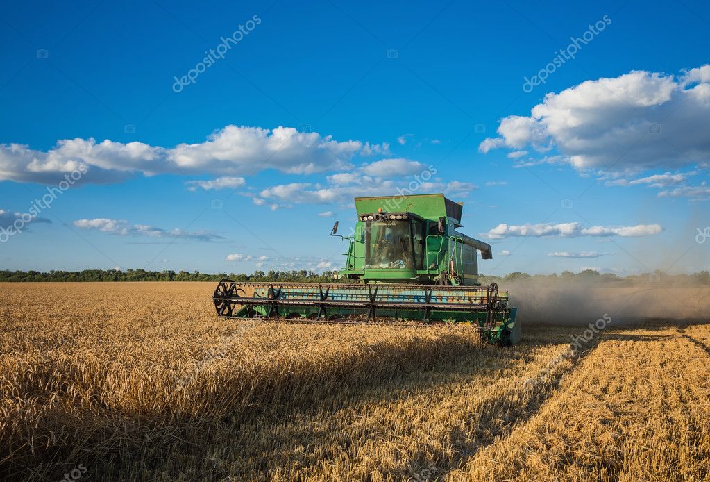Harvesting combine in the field Stock Photo by ©saharrr 106903116