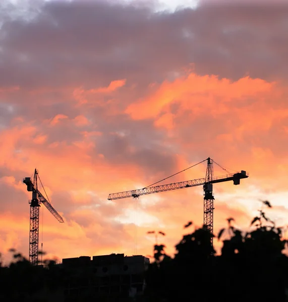 Crane Stock Photo by ©nwhaaa 1068644