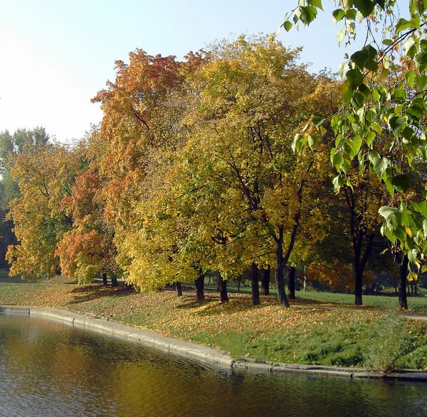 Park lake Stock Photos, Royalty Free Park lake Images | Depositphotos