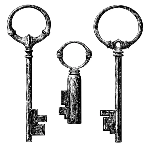 Old style key collection . etching vector drawing — Stock Vector © tan ...