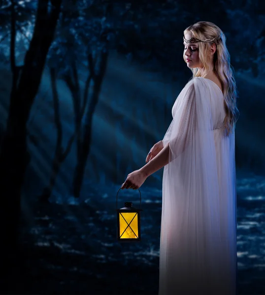 Elf princess Stock Photos, Royalty Free Elf princess Images | Depositphotos