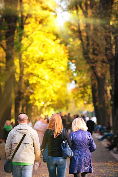People in forest Stock Photos, Royalty Free People in forest Images ...