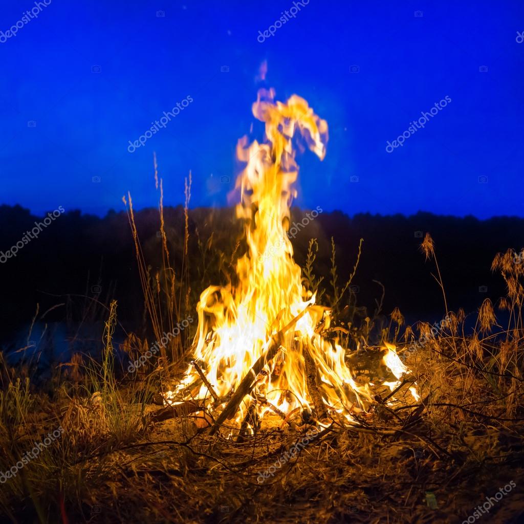 Gran fogata en la noche en el bosque 2024