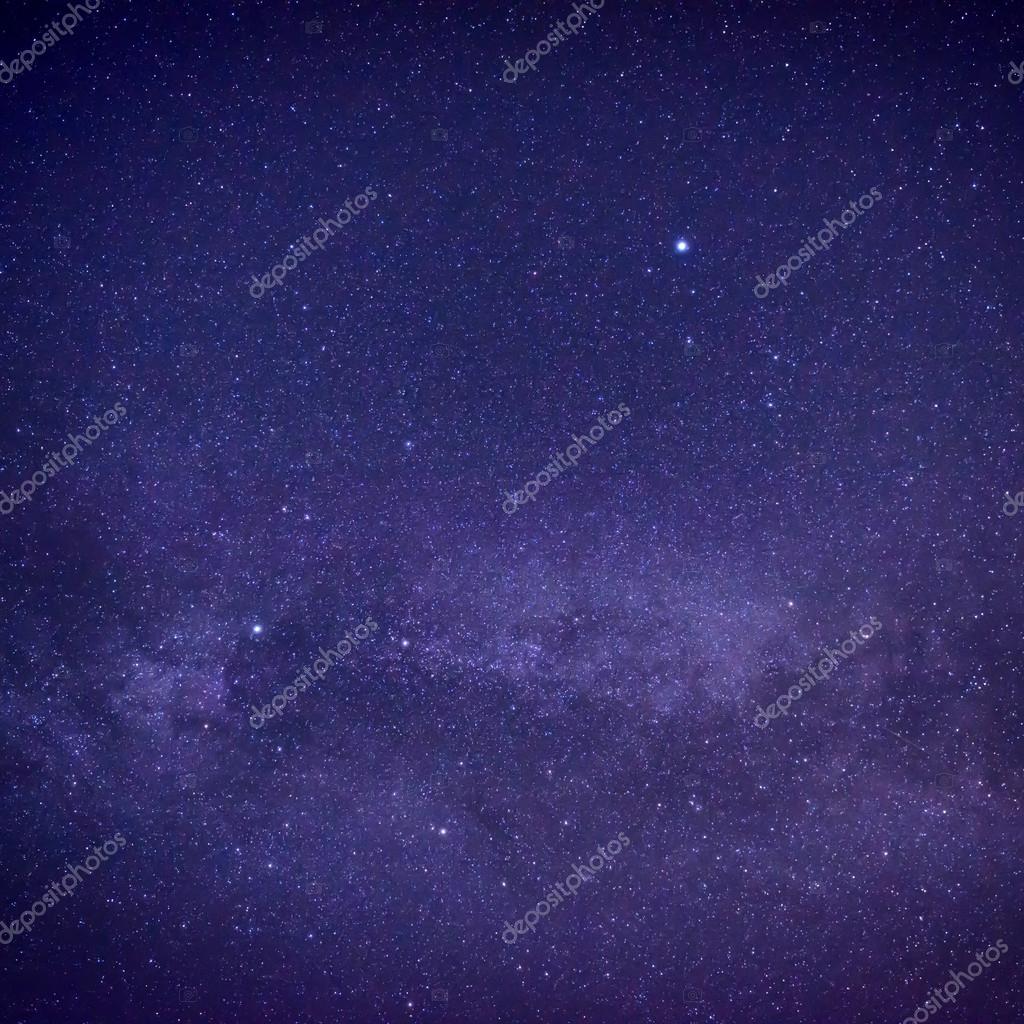 Night Time Stars Purple