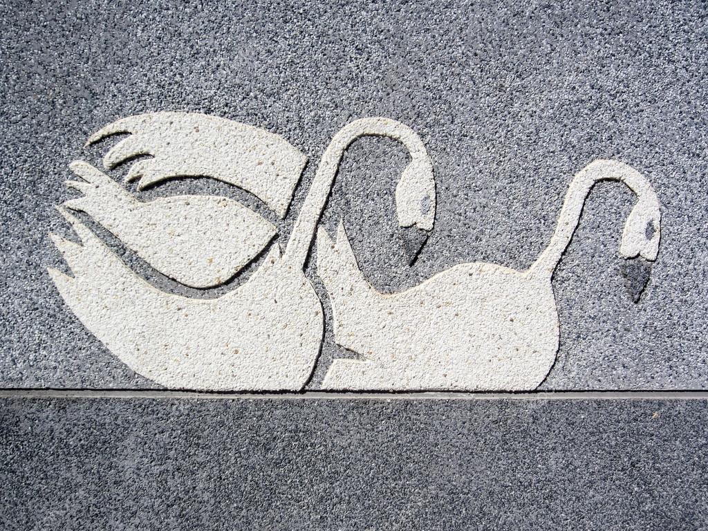 White wall swans Stock Photo by ©stuart49 87977238