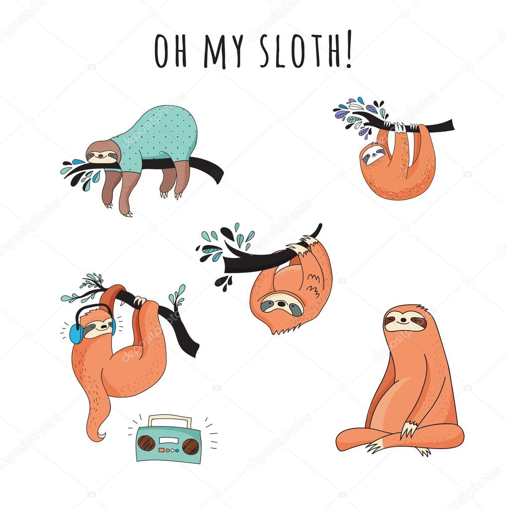 Sloth Illustration