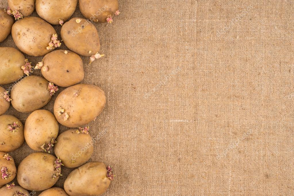 Potato Bag Texture