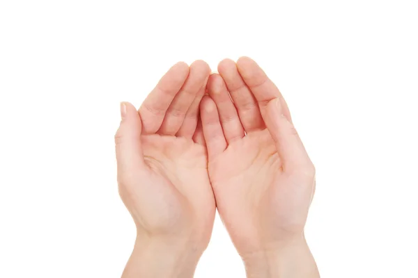 Lift hands Stock Photos, Royalty Free Lift hands Images | Depositphotos