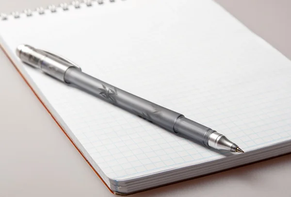 Quaderno e due penne - Foto Stock: Foto, Immagini © ejeune 112712056 | Depositphotos