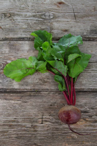 Imágenes de Feuilles de betterave rouge bébé, fotos de Feuilles de ...