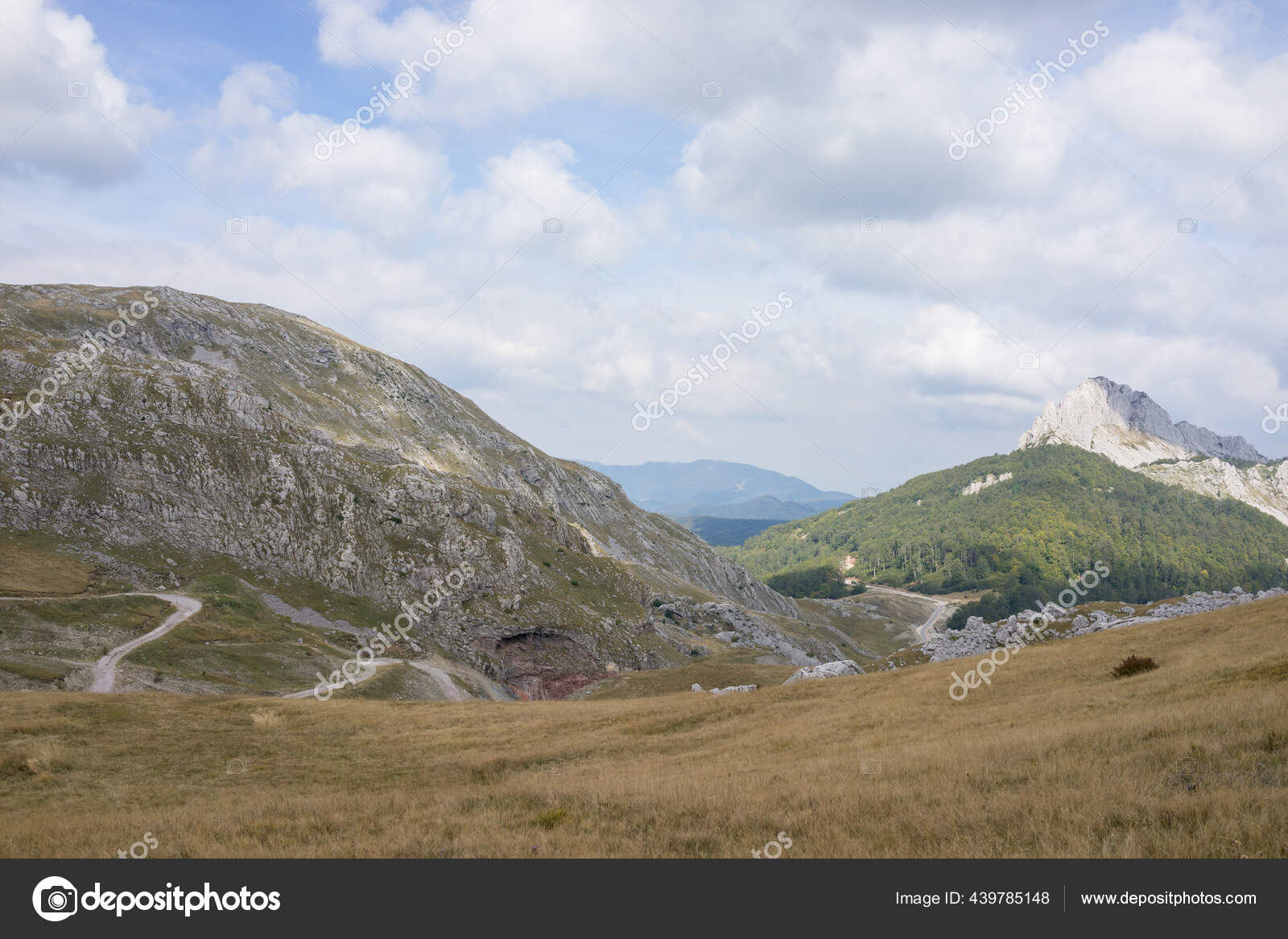 Beautiful natural landscape in the summer time — Stock Photo © zurijeta ...