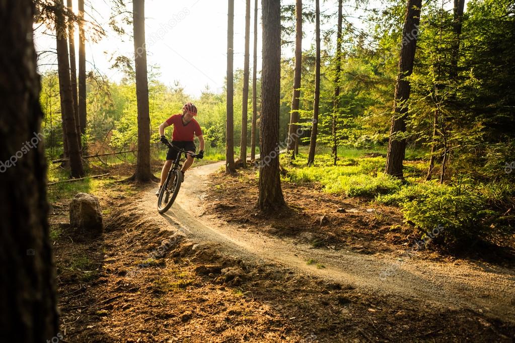 Mountain biker riding cycling in summer forest — Stock Photo © blasbike ...