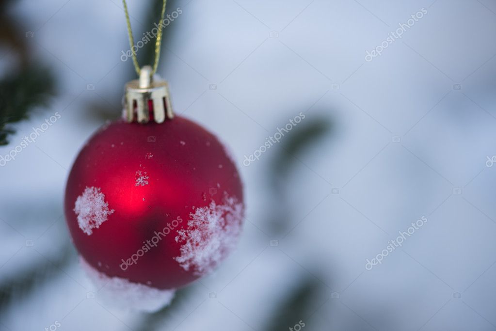 Christmas Red Ball Pine Tree Covered Fresh Snow Stock Photo by ©.shock ...