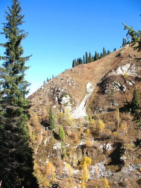 Subalpine ecosystem fotos de stock, imágenes de Subalpine ecosystem sin ...