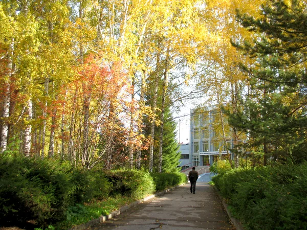 Ubc campus Stock Photos, Royalty Free Ubc campus Images | Depositphotos