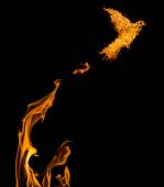 Flying dove on fire — Stock Photo © betochagas #25648661