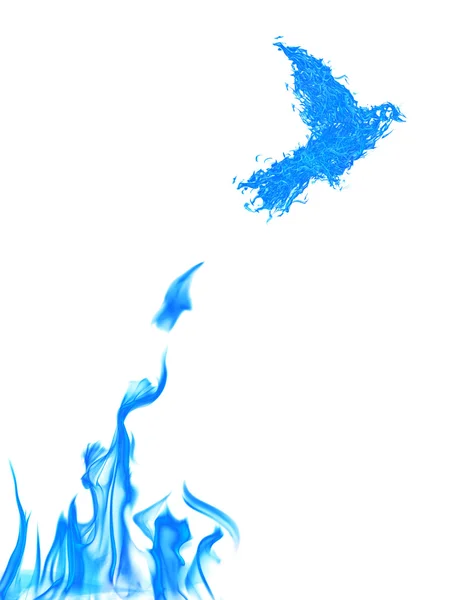 Flame bird Stock Photos, Royalty Free Flame bird Images | Depositphotos