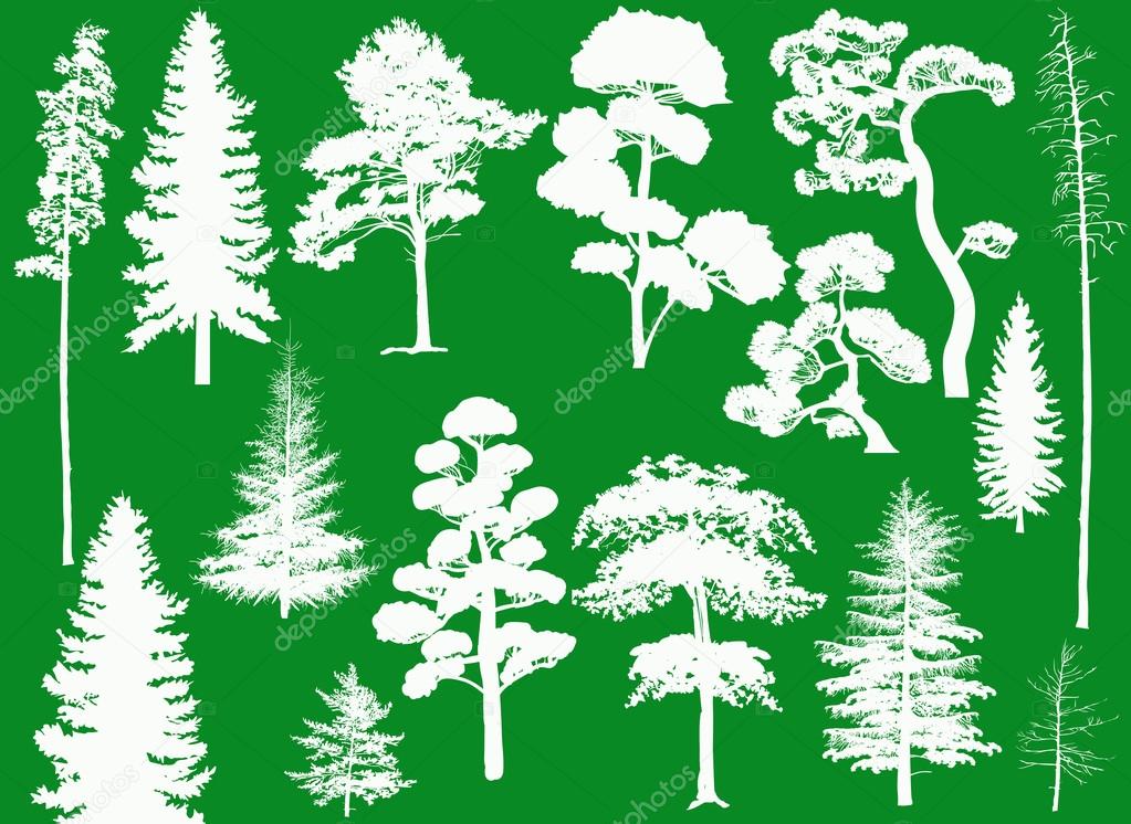 White trees Stock Vector by ©Dr.PAS 55583271